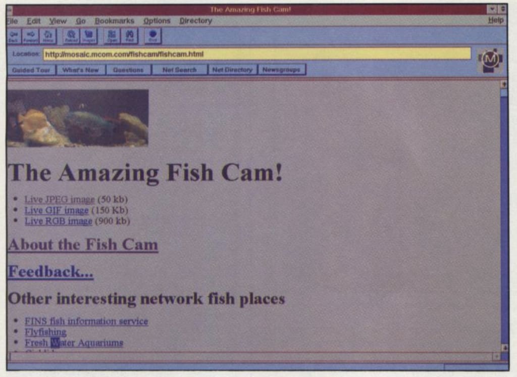 What the internet looked like in 1994, according to 15 webpages born ...