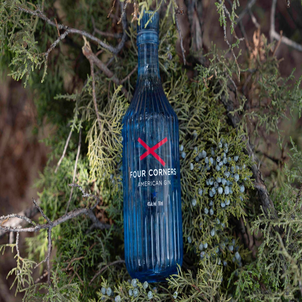 How two gin masters are bottling the essential flavor of America - Fast ...