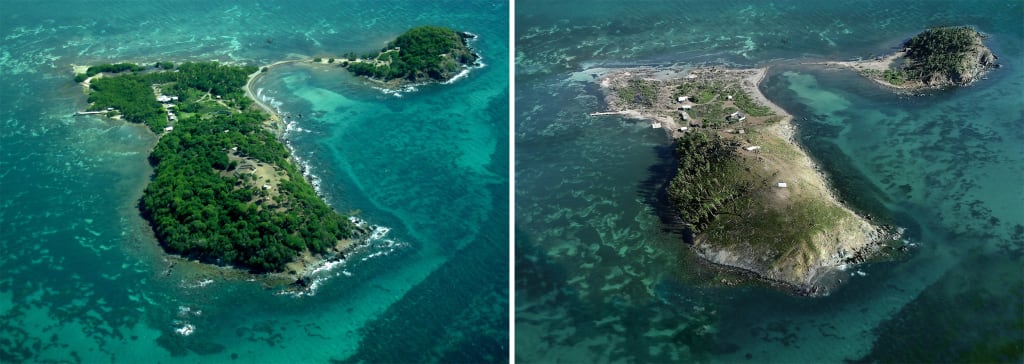 Puerto Rico's 'Monkey Island' was hit by a hurricane. Researchers were ...