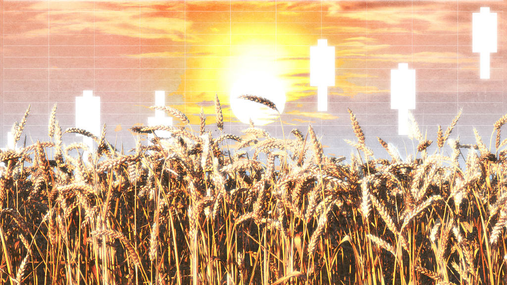 How food prices are affected by the weather forecast - Fast Company