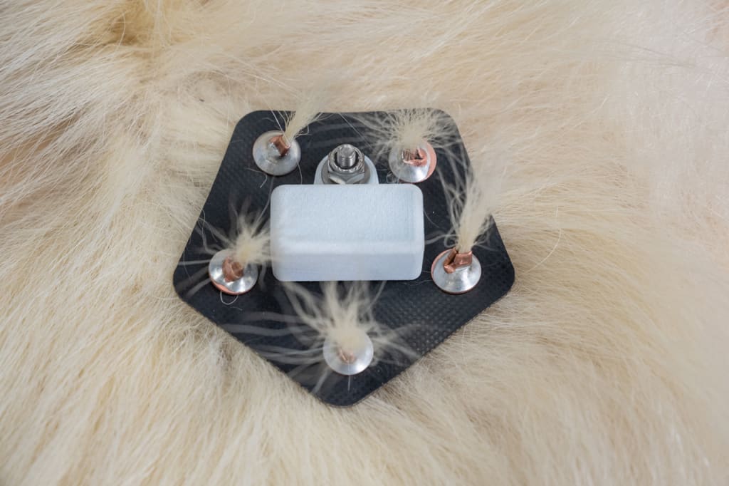 The sticky geniuses behind Post-its and Scotch Tape made a polar bear ...