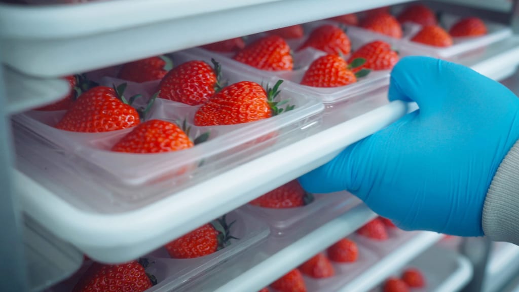 See Oishii's new NJ farm, where the world's best strawberries grow ...