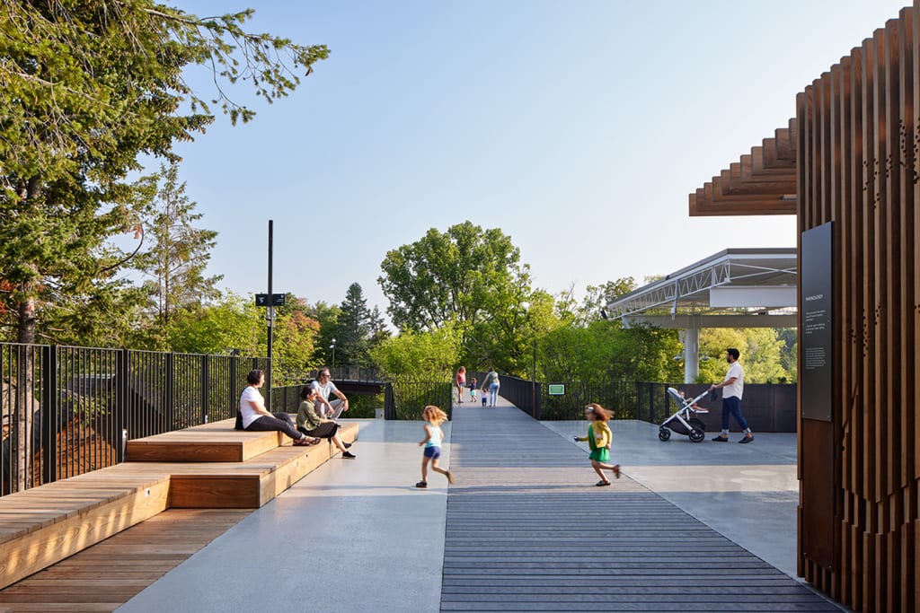 Minnesota Zoo's Treetop Trail has made the zoo busier than ever - Fast ...
