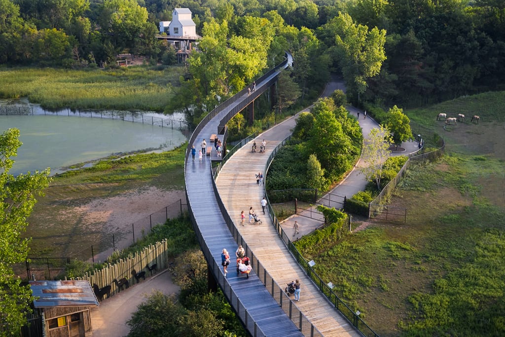 Minnesota Zoo's Treetop Trail has made the zoo busier than ever - Fast ...