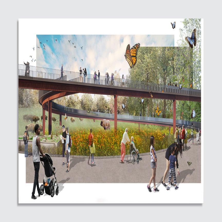 Minnesota Zoo's Treetop Trail has made the zoo busier than ever - Fast ...