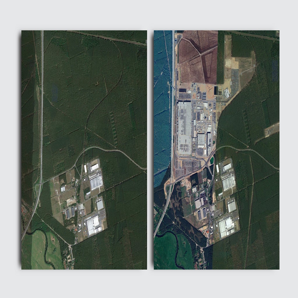Tesla cut down 500,000 trees to build its German gigafactory - Fast Company