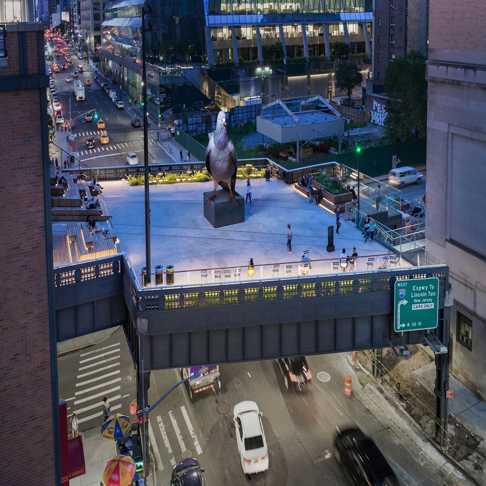 Soon, a giant pigeon will be staring at you from the High Line - Fast ...