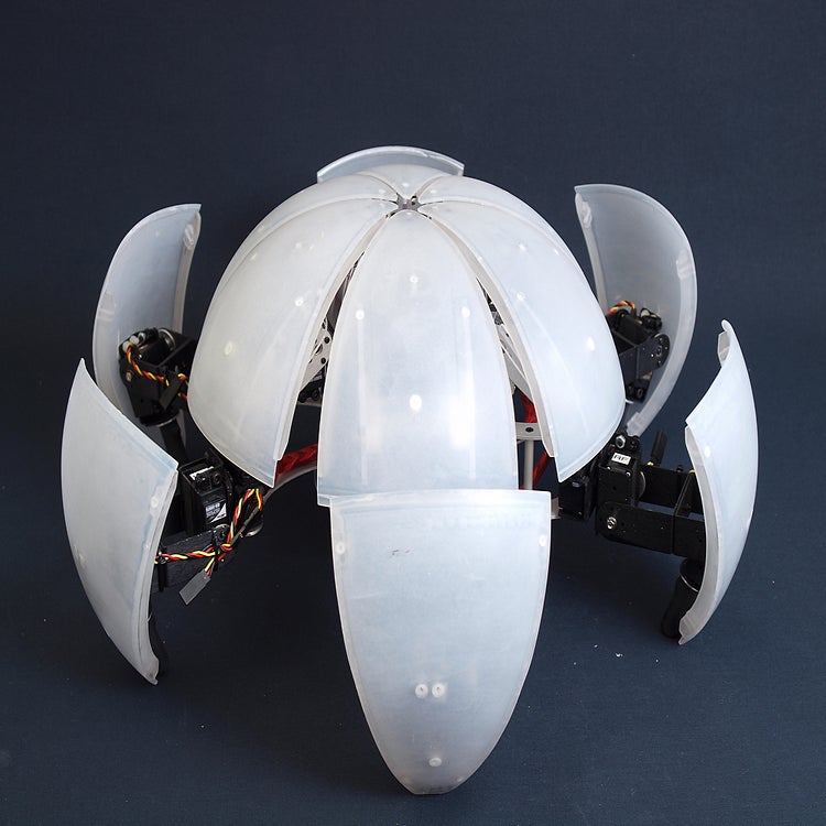 This Ingenious Robot Rolls, Unfolds, Then Scampers - Fast Company