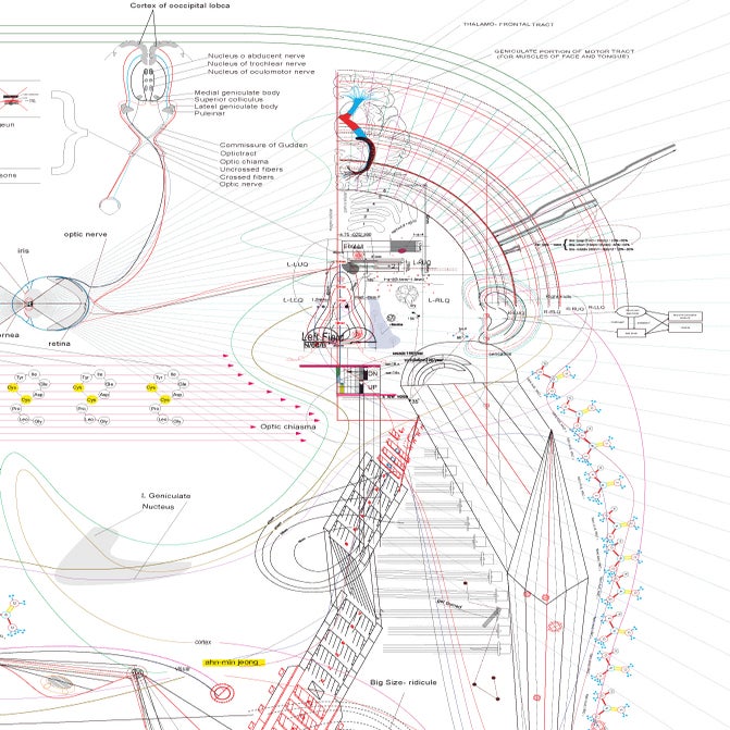 What Would Your Portrait Look Like, As A Blueprint? - Fast Company