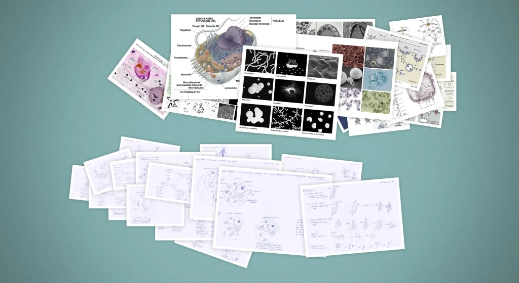 Take A Stroll Through This Living Human Cell - Fast Company