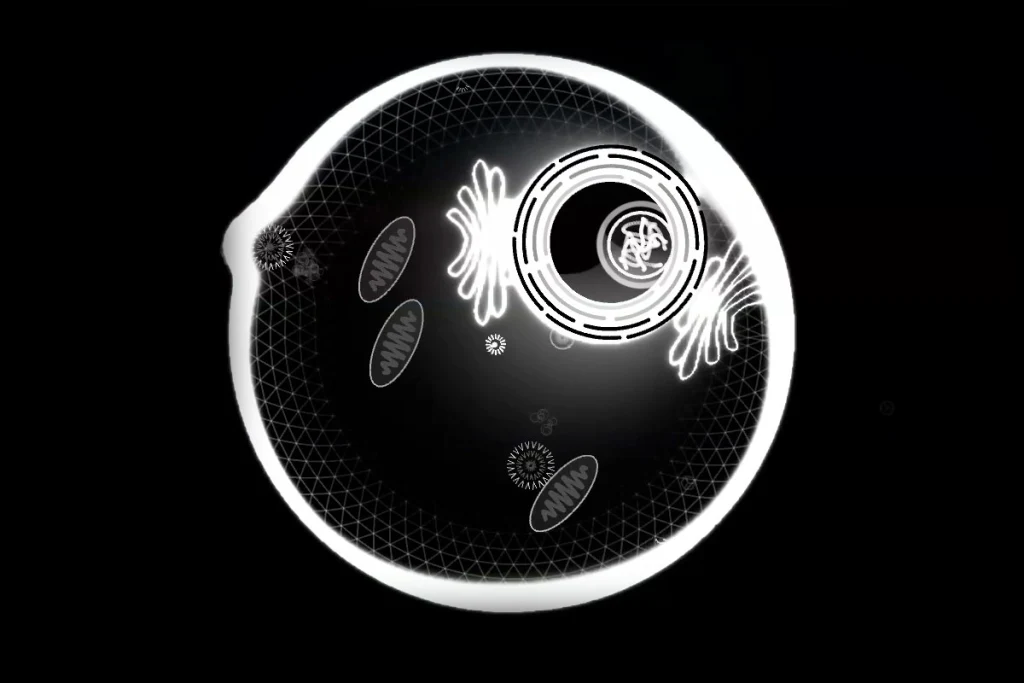 Take A Stroll Through This Living Human Cell - Fast Company