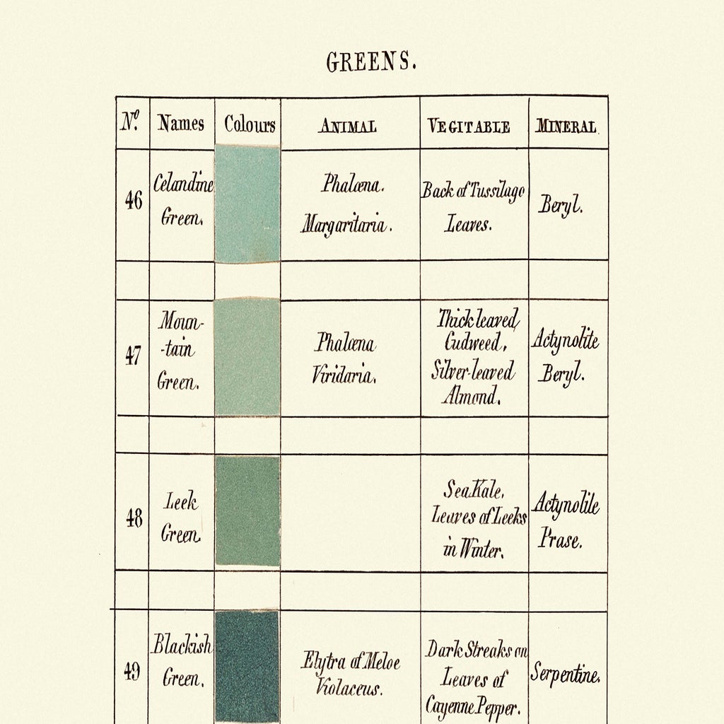 The Beautiful, Forgotten Color Language Of 19th-Century Naturalists ...