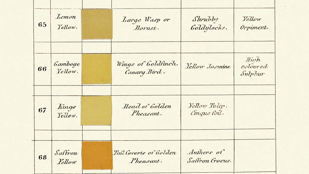 The Beautiful, Forgotten Color Language Of 19th-Century Naturalists ...