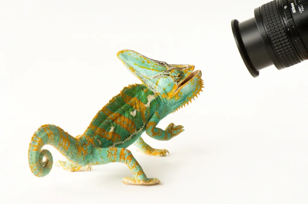 This photographer is capturing images of dying species before they ...