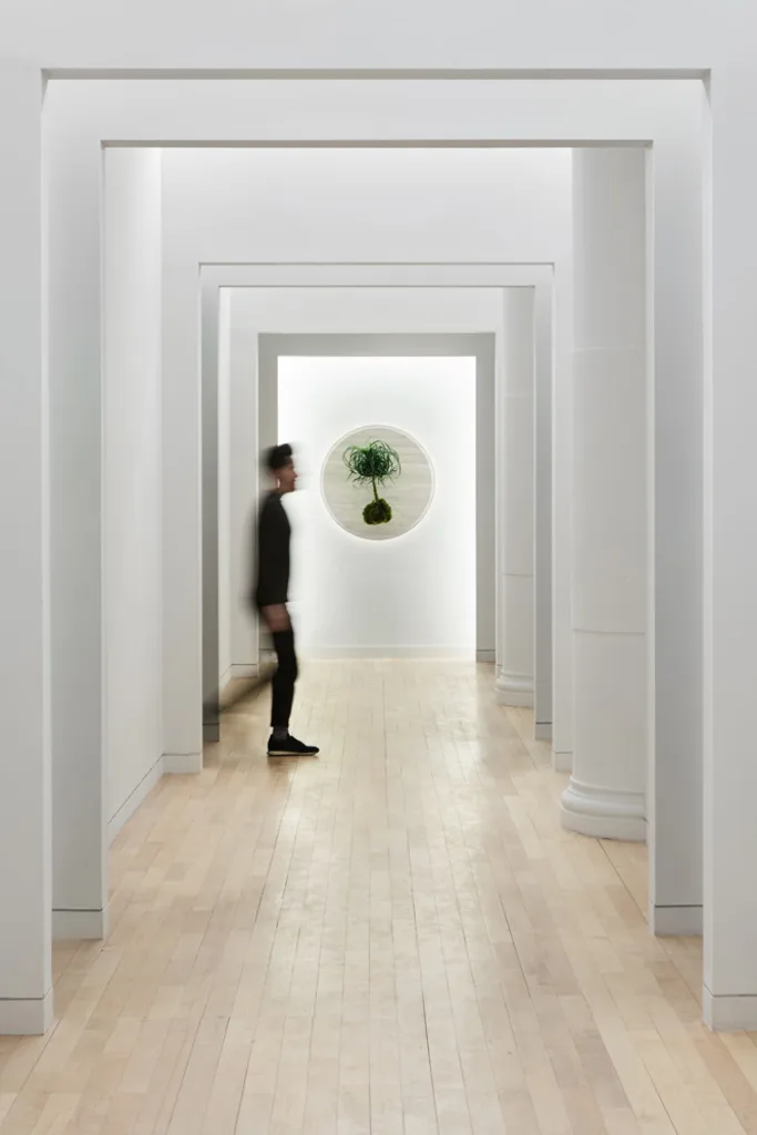 Doctor's offices are terrifying. This one is designed to calm your ...