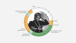 Infographic: See The Daily Routines Of The World's Most Famous Creative ...