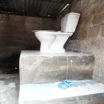 This Toilet Works By Using Poop-Eating Worms (Happy World Toilet Day ...