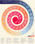 Feast Your Eyes On The Most Beautiful Data Visualizations Of 2015 ...
