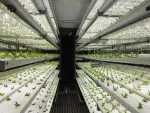 Take A 3D Tour Of A Vertical Farm Packed Inside A Shipping Container ...