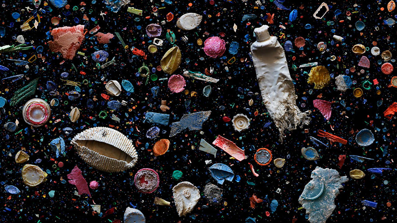 Beautiful Photos Of The Ocean's Deadly Plastic - Fast Company