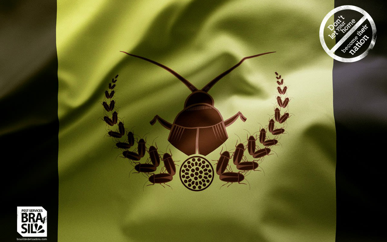 If Bugs Had Countries, What Would Their Flags Look Like? - Fast Company