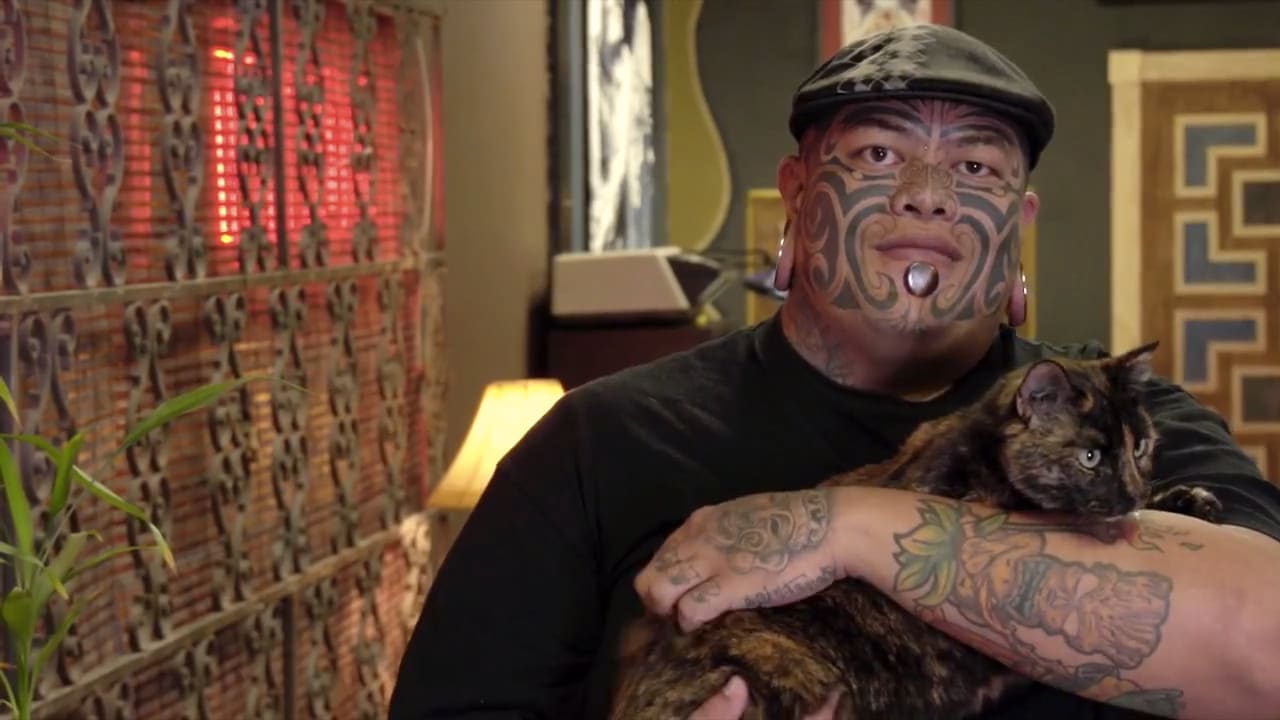 Purina Assures Cat People: You're Not Crazy. Really. - Fast Company