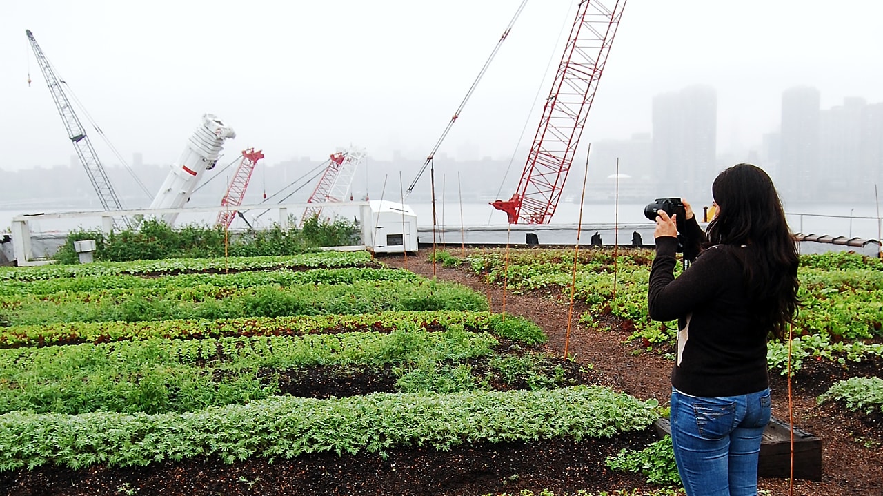 8 Future Farms To Change How We Grow Food - Fast Company