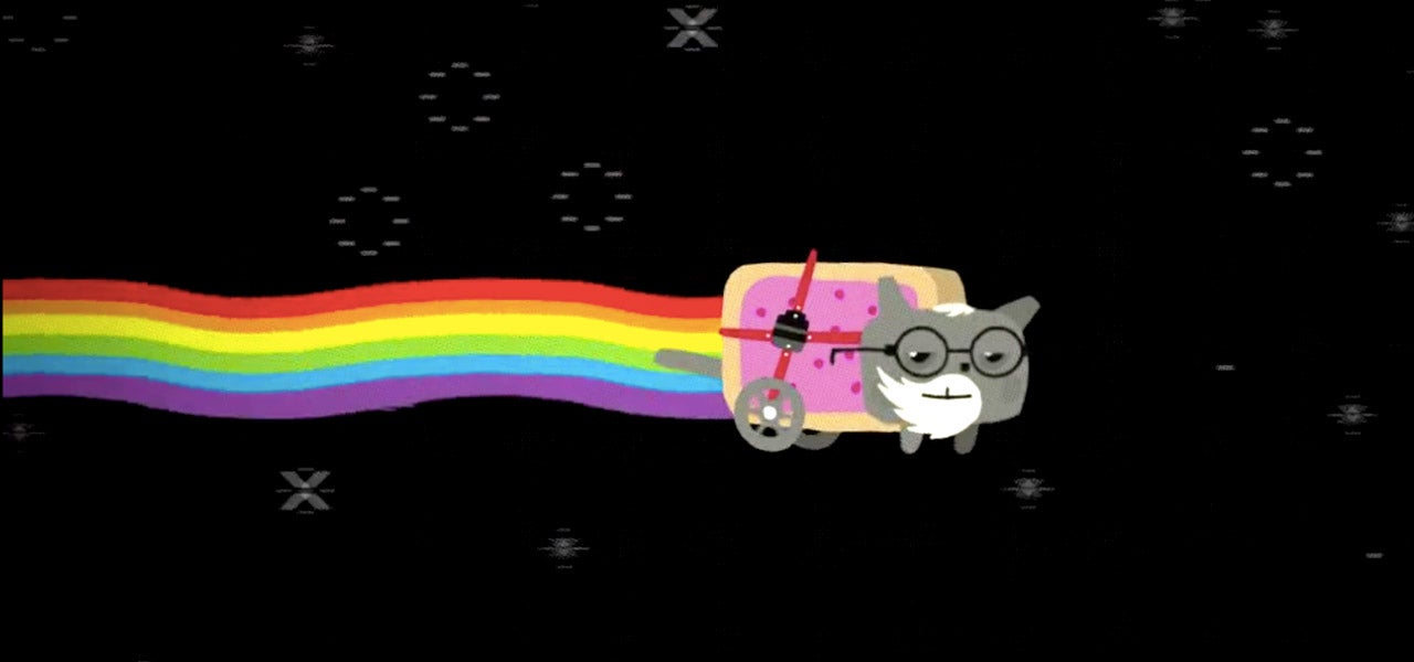 One Hour Of (Cat) Video Is Uploaded To YouTube Every Second - Fast Company