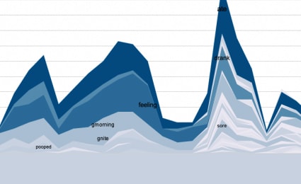 FlowingData Graphs Your Life Via Twitter - Fast Company