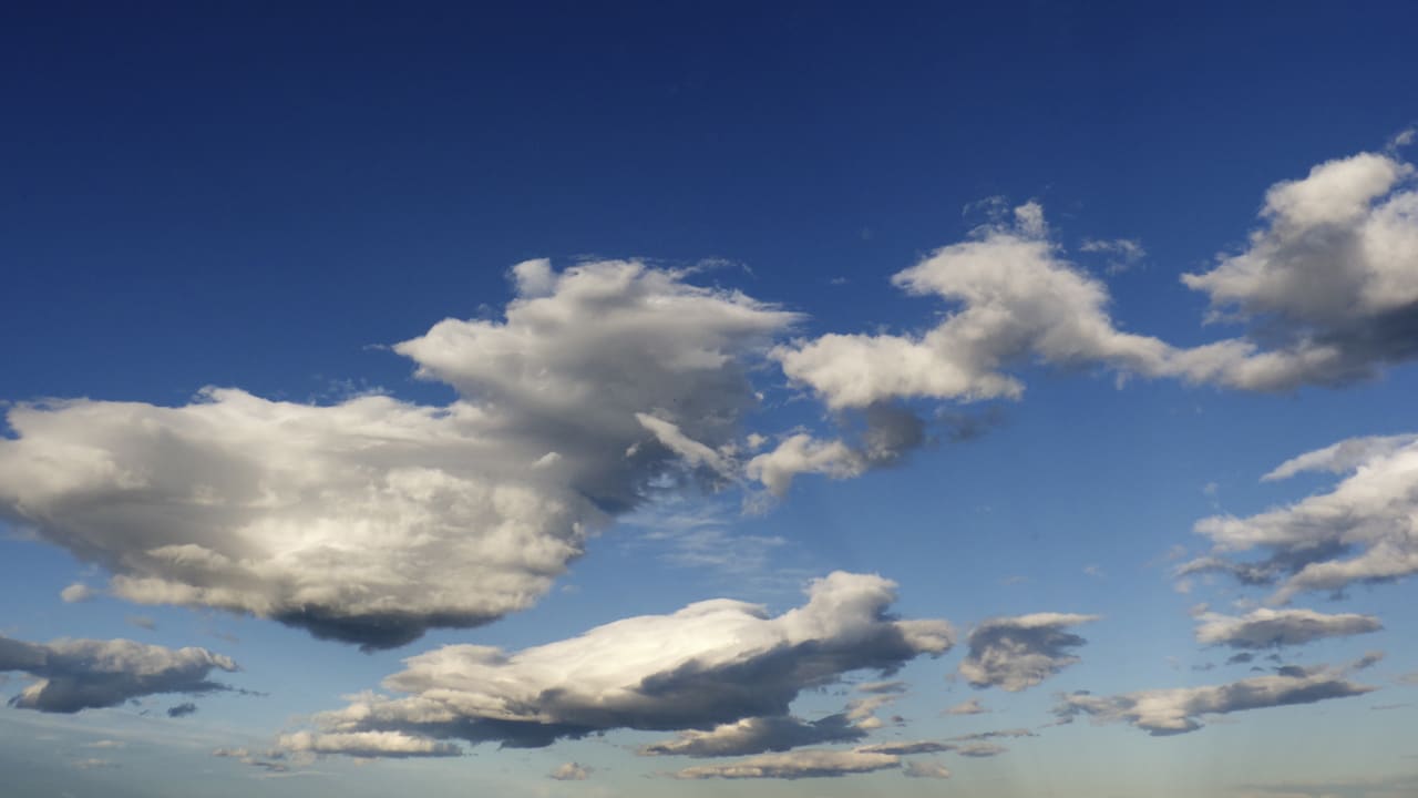 Sustainable, Ethical Decisions? There's An App For That - Fast Company