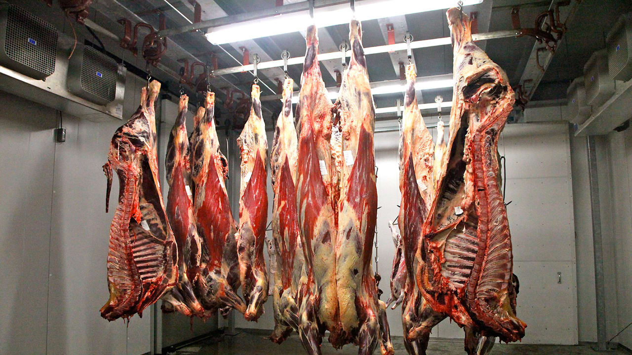 Hacking Meat: Using Technology To Even The Playing Field With Big ...