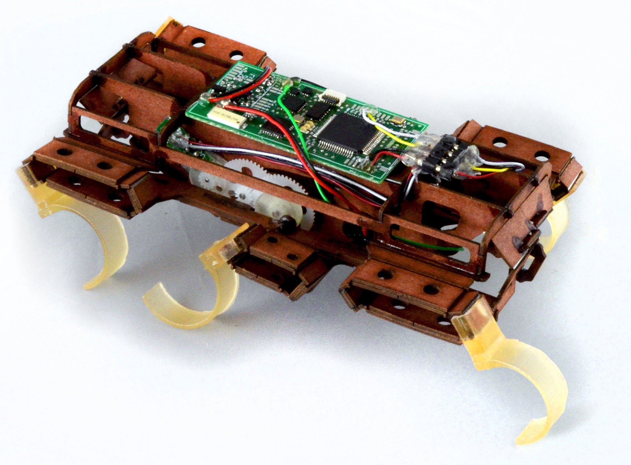 The World's New Second Fastest Robot Is A Tiny Cardboard Cockroach ...