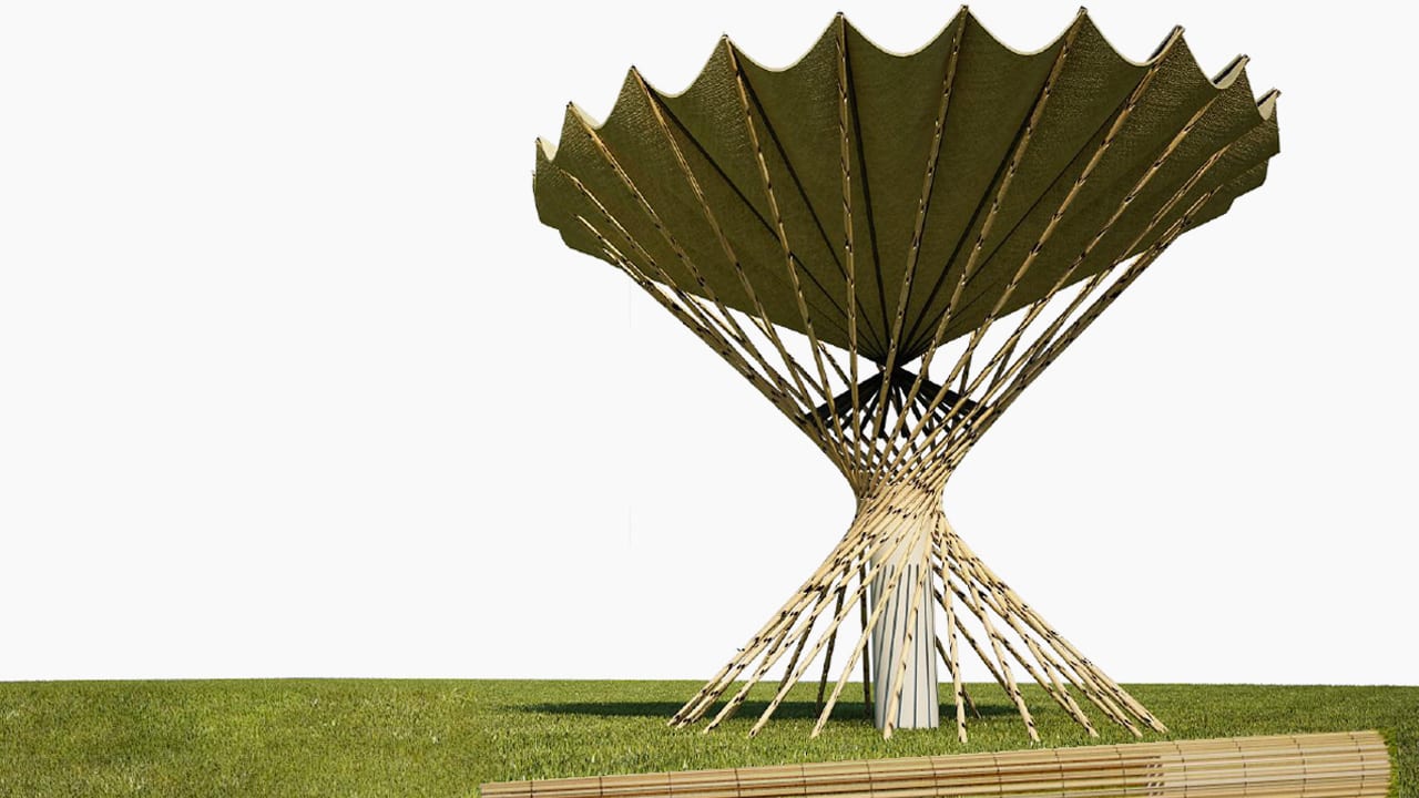 4 Bizarre Design Solutions Inspired By Nature - Fast Company
