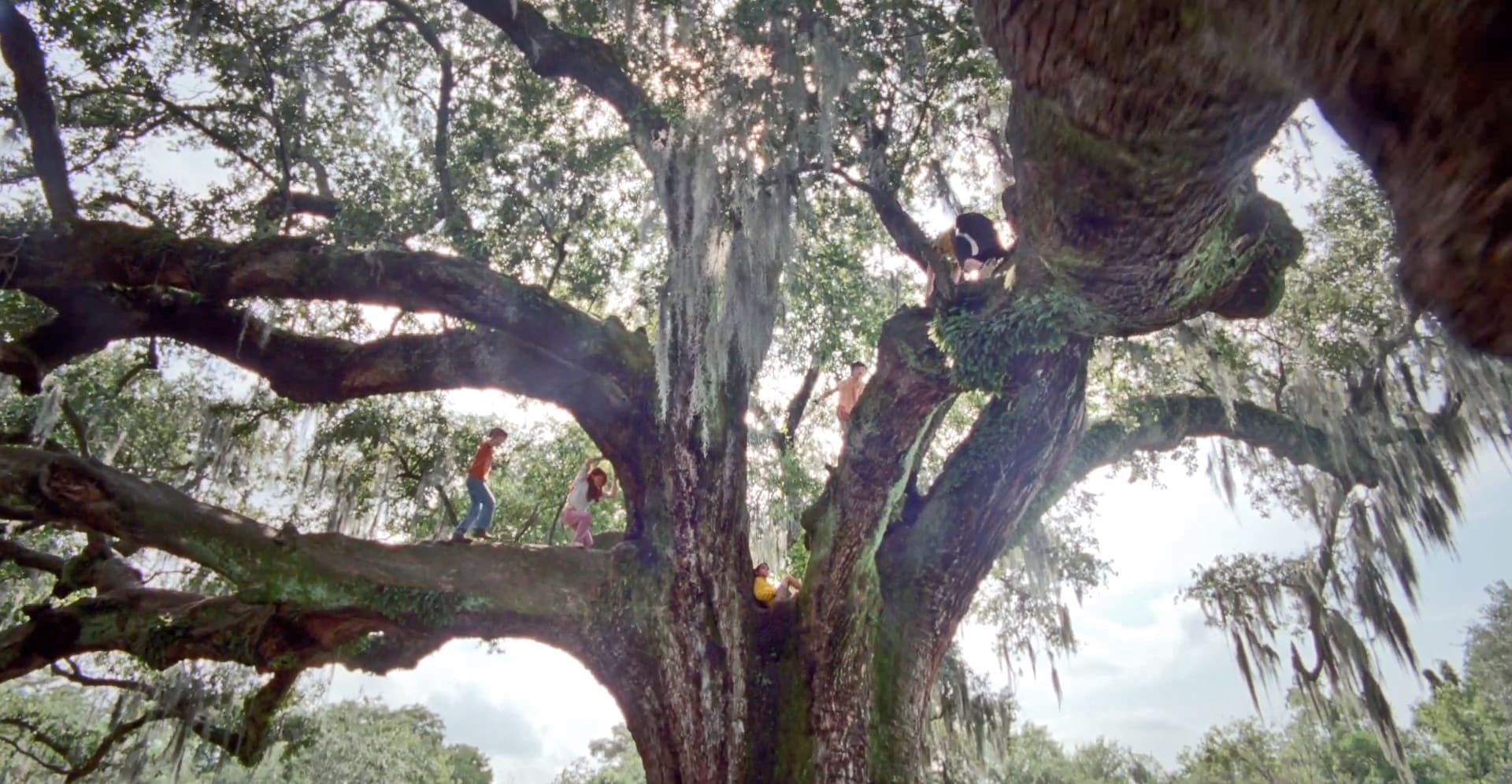 Facebook's First Major Marketing Message? That It Is Like a Chair ...
