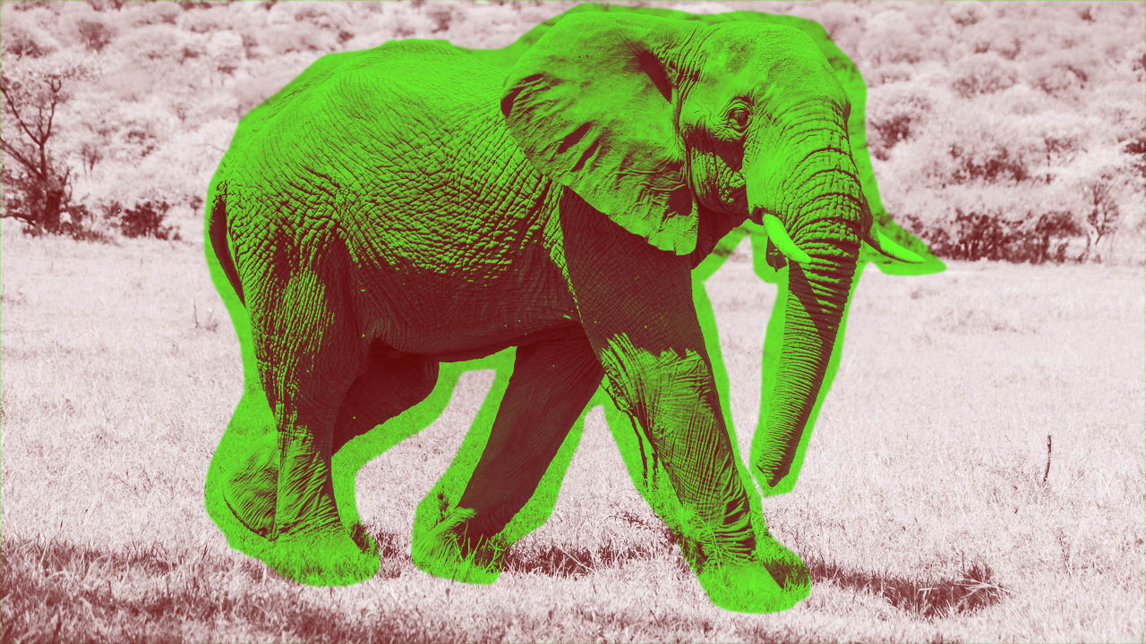 How To Persuade A Conservative To Buy Green? Don't Tell Them It's Green ...