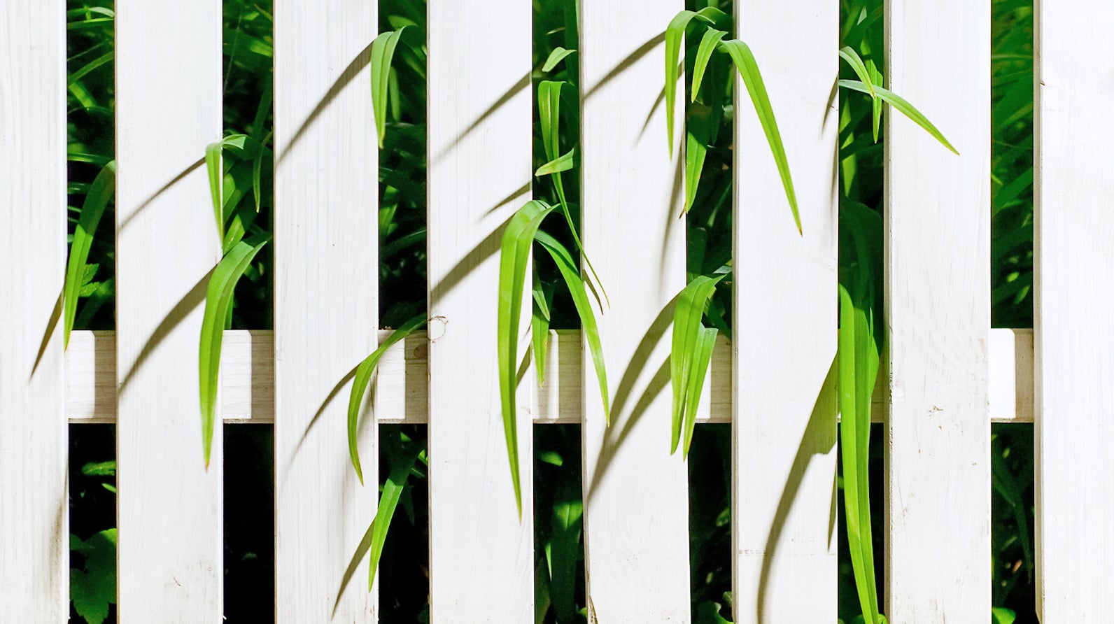 6 Ways Agencies Can Apply the “Startup Filter” To Brand Work - Fast Company