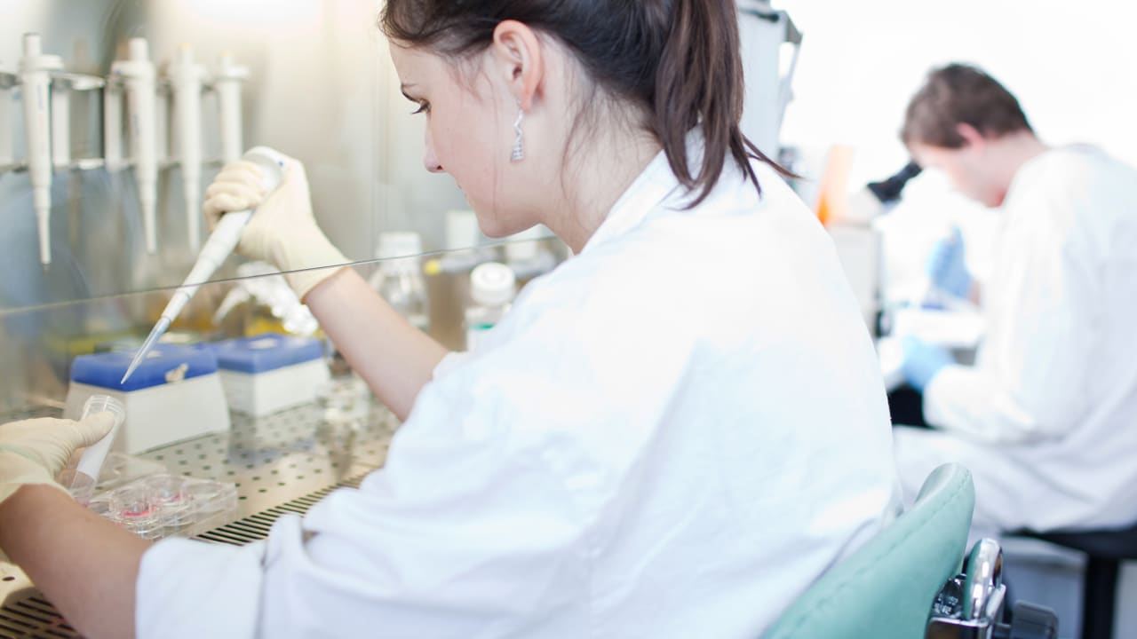 This Is What STEM Jobs Really Look Like - Fast Company