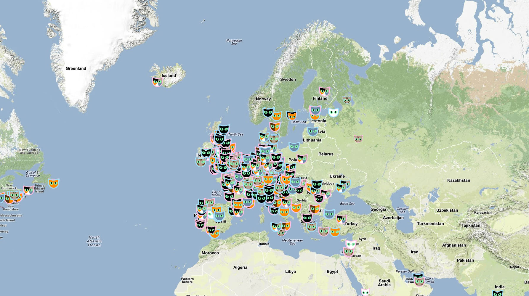 Put Your Cat On The Map (The Interactive Map of the World's Cats That ...