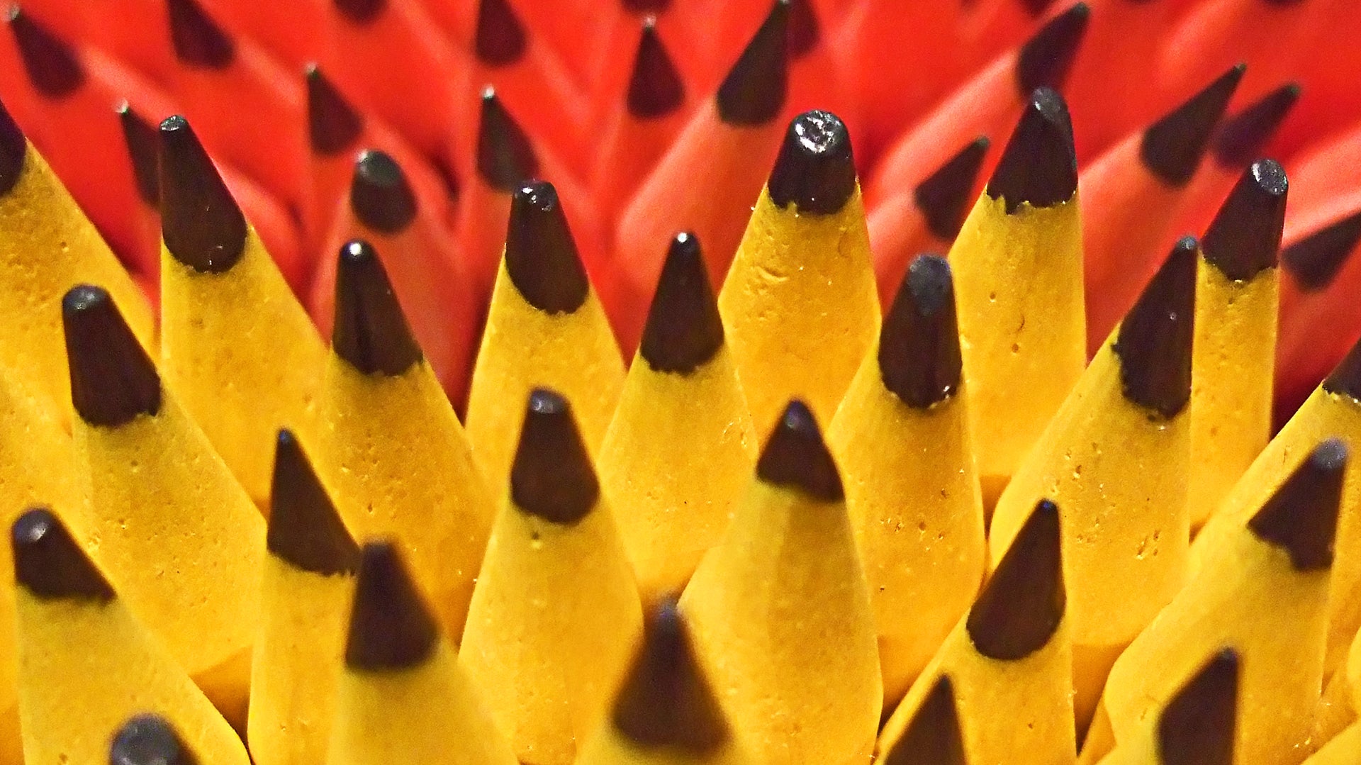 8 Ways To Win The Race for Creative Talent - Fast Company