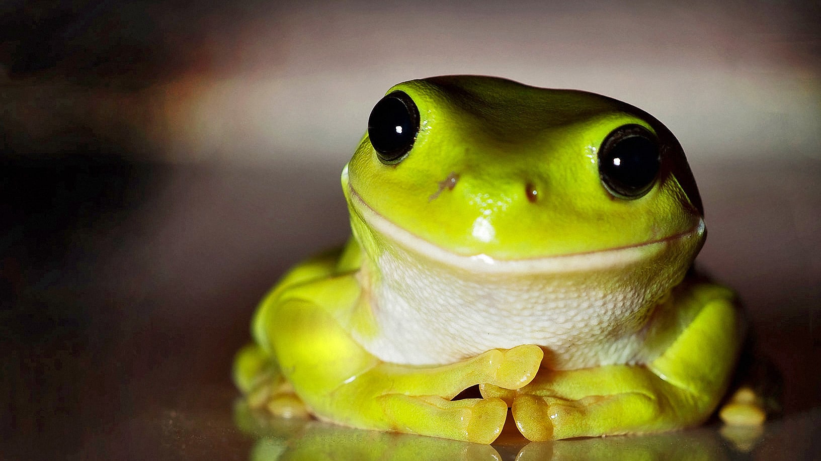 Happiness Means Creativity: One Company's Bet On Positive Psychology ...