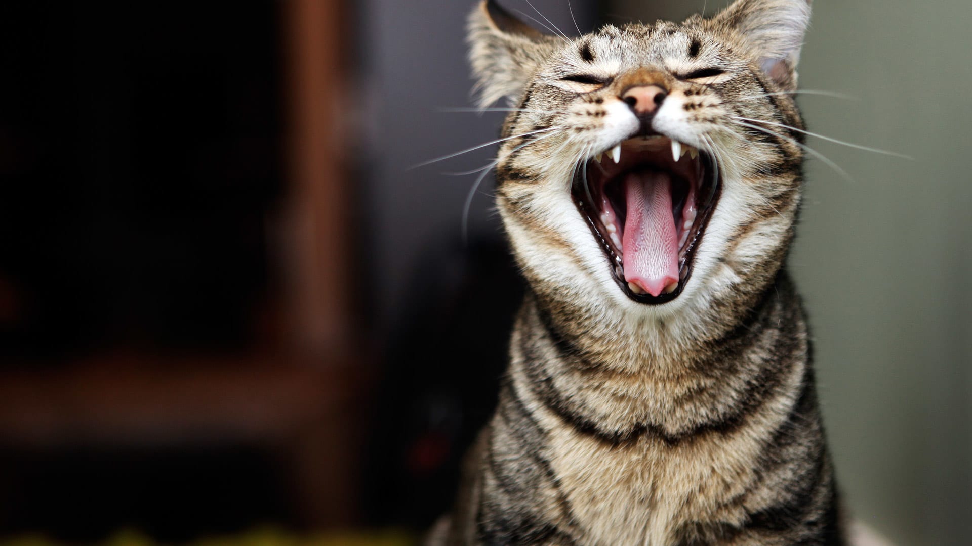 Empathy Sells - Fast Company