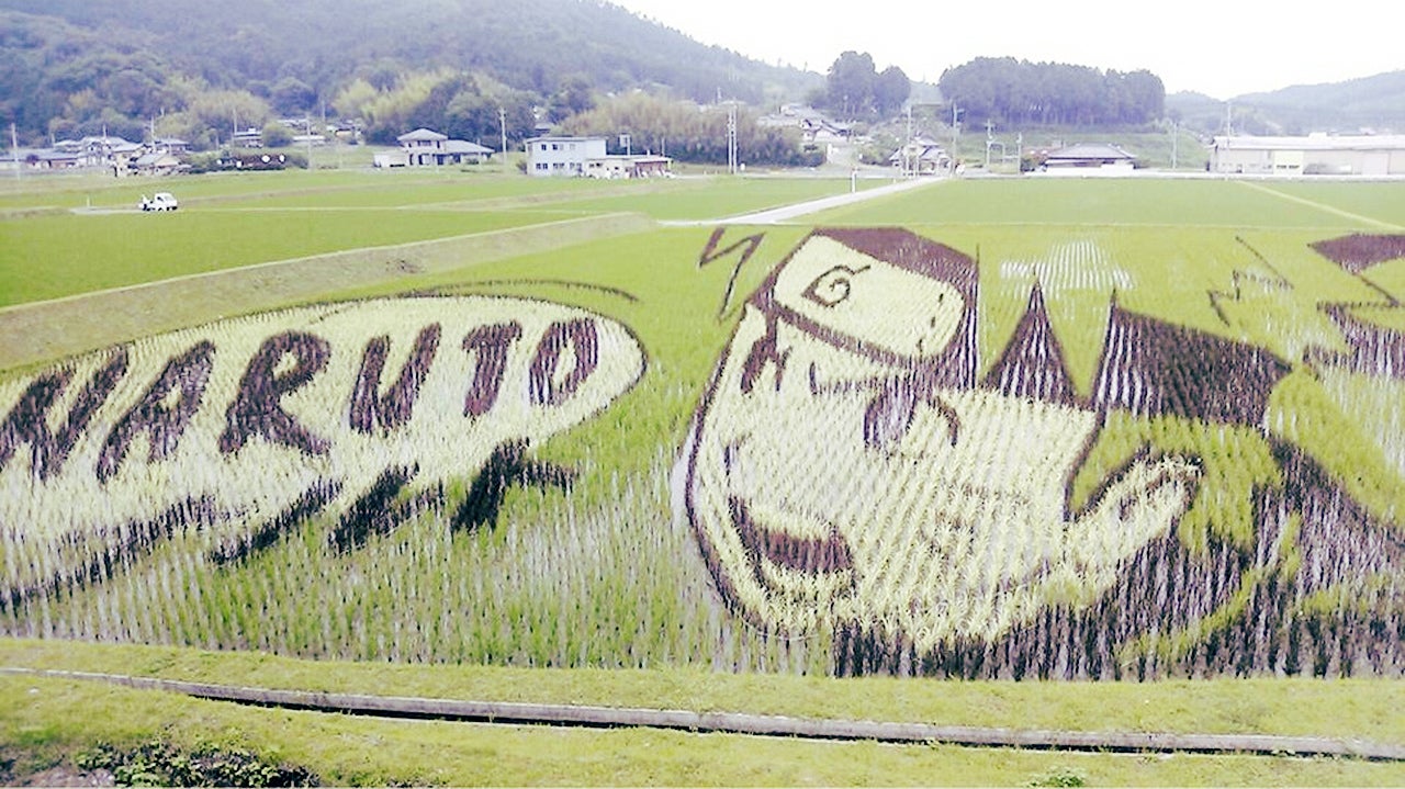 No Tinfoil Hats Necessary: See Amazing, Earthly Japanese Rice Paddy Art ...