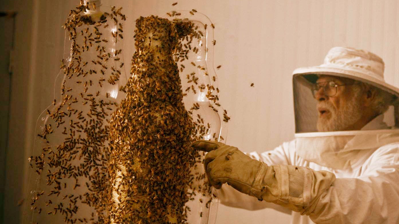 How 80,000 Bees Printed A Bottle For Dewar's - Fast Company