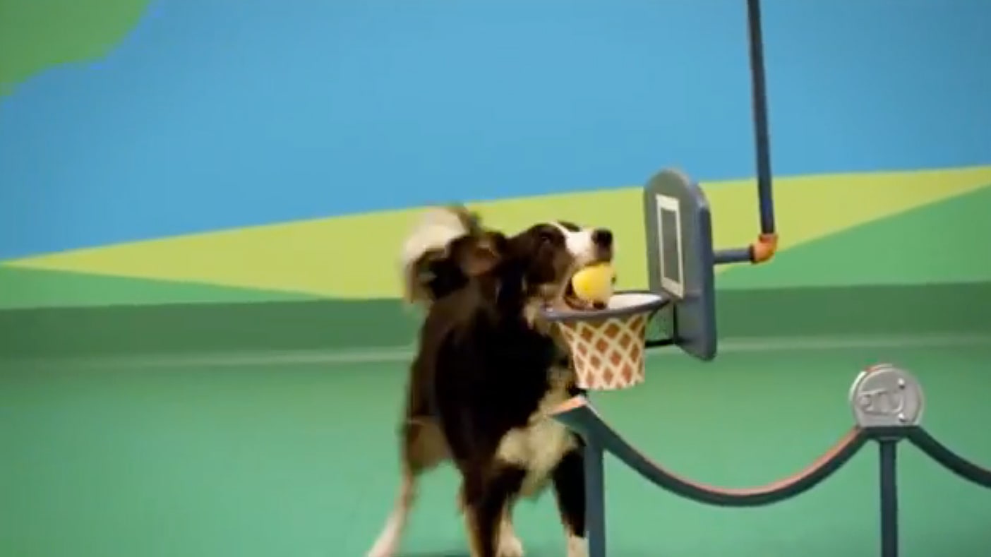 Dog Goldberg Machine Gives Rube a Run for His Money - Fast Company