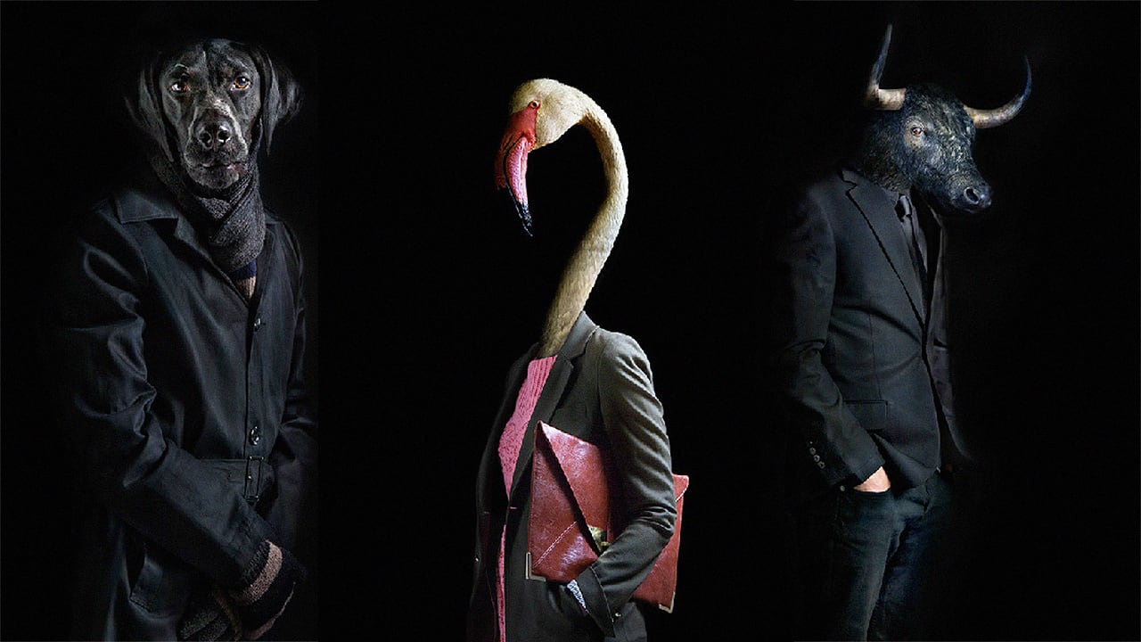 See Animals Who Dress Way Better Than You Strike a Pose - Fast Company
