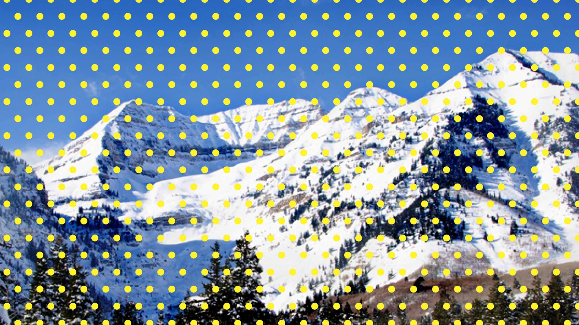 A Bright-New Brand Identity Sun Rises Over The Sundance Institute ...
