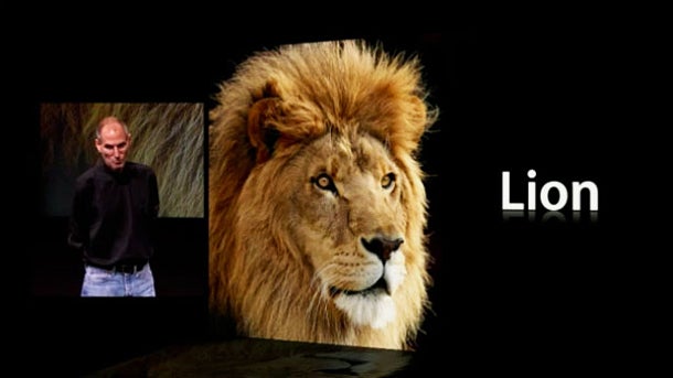Five Leadership Lessons From the Lion Launch - Fast Company