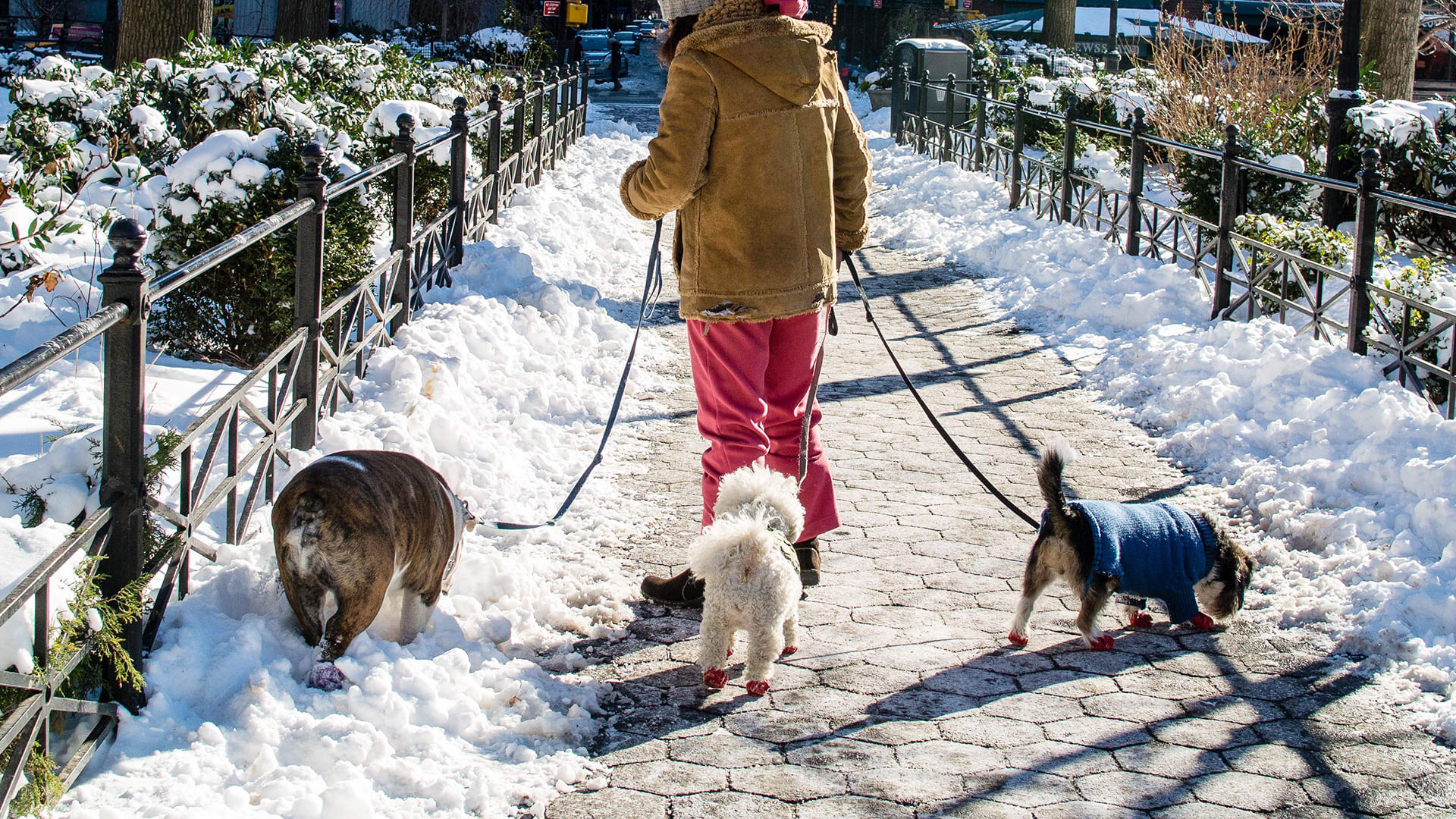 3 Proven Strategies To Keep The Internet From Killing Your Productivity ...