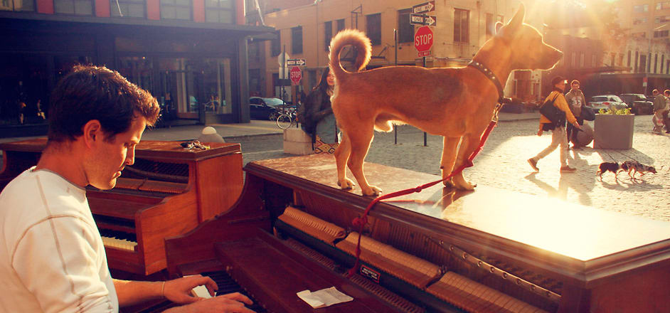 Chris Mohney Storyboards Tumblr's Chaos - Fast Company