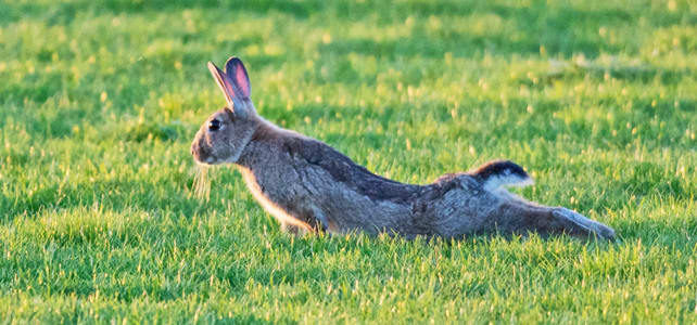 6 Exercises For Mastering Cultural Agility - Fast Company